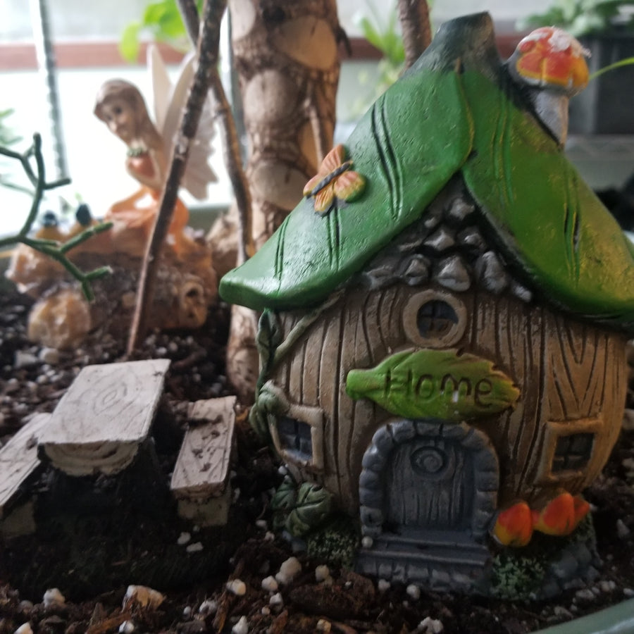 miniforest.com – MiniForest