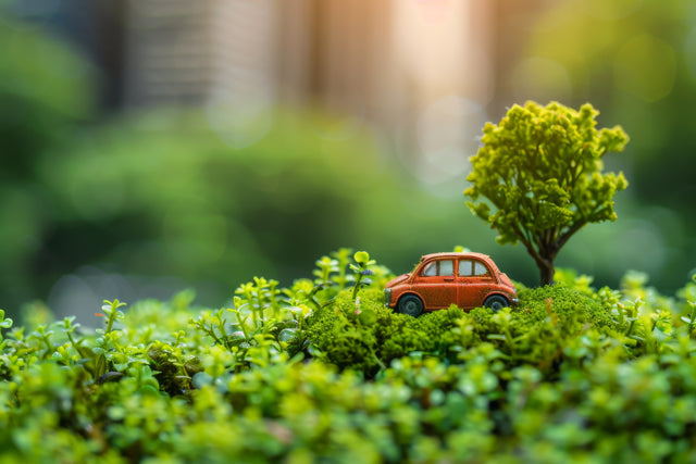 miniforest.com – MiniForest